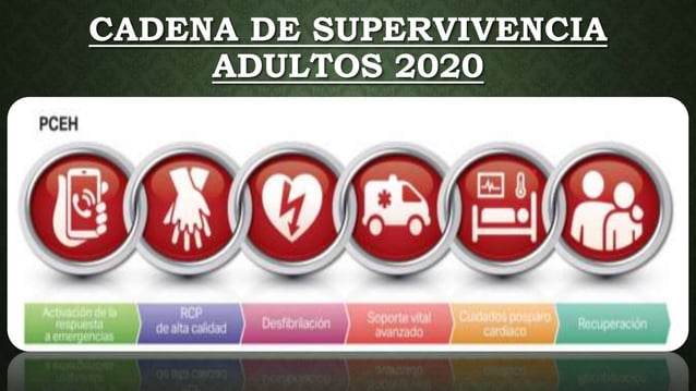 RCP - Básico. Reanimación Cardiopulmonar Básica | PPT