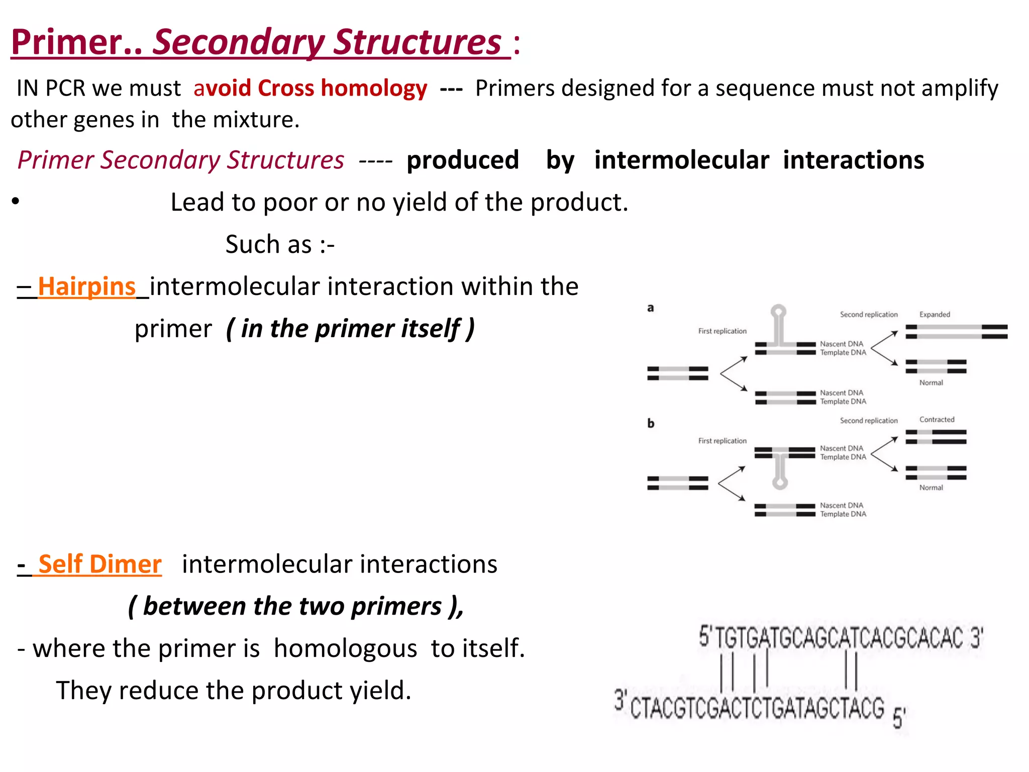 PCR by AQEEL hadithe | PPT | Chemistry | Science