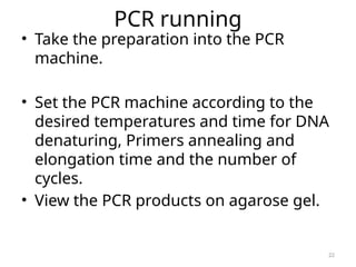 PCR CONCERPTS & PCR SET UP LECTURE.pptx. | PPTX