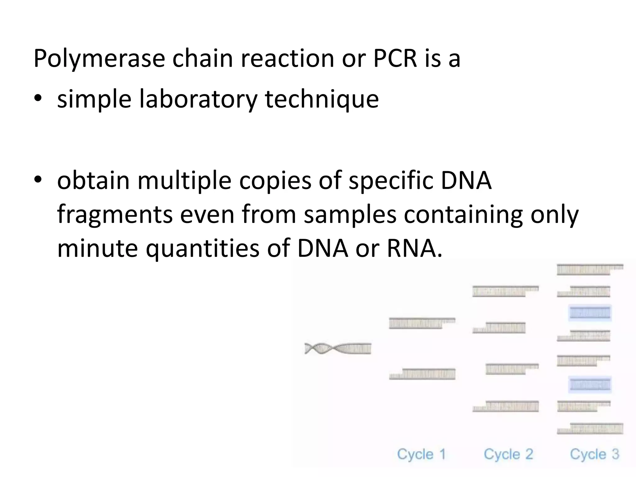 Pcr contamination prevention | PDF