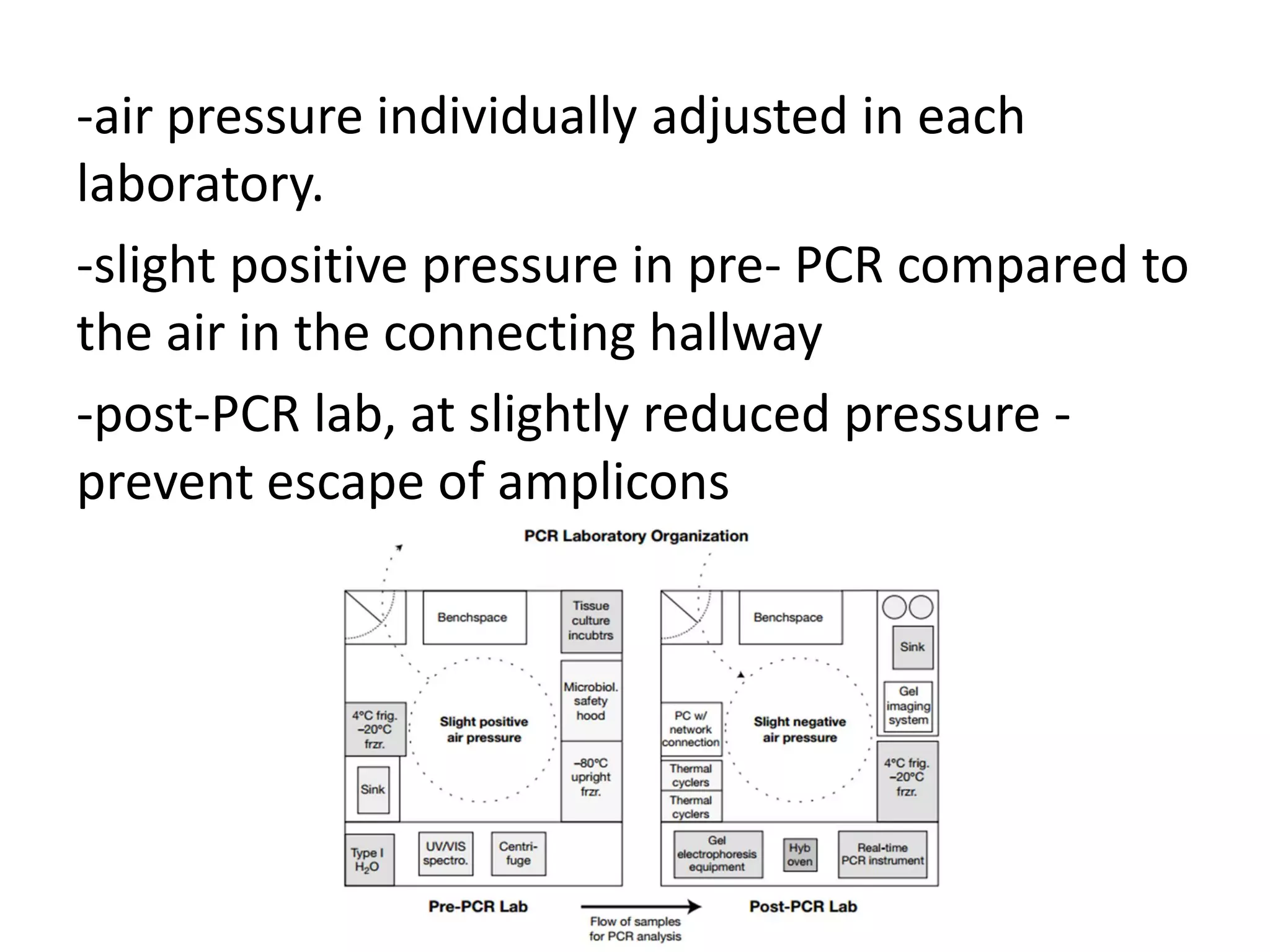 Pcr contamination prevention | PDF