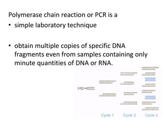 Pcr contamination prevention | PDF | Chemistry | Science