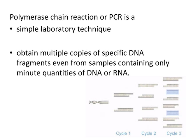 Pcr contamination prevention | PDF | Chemistry | Science