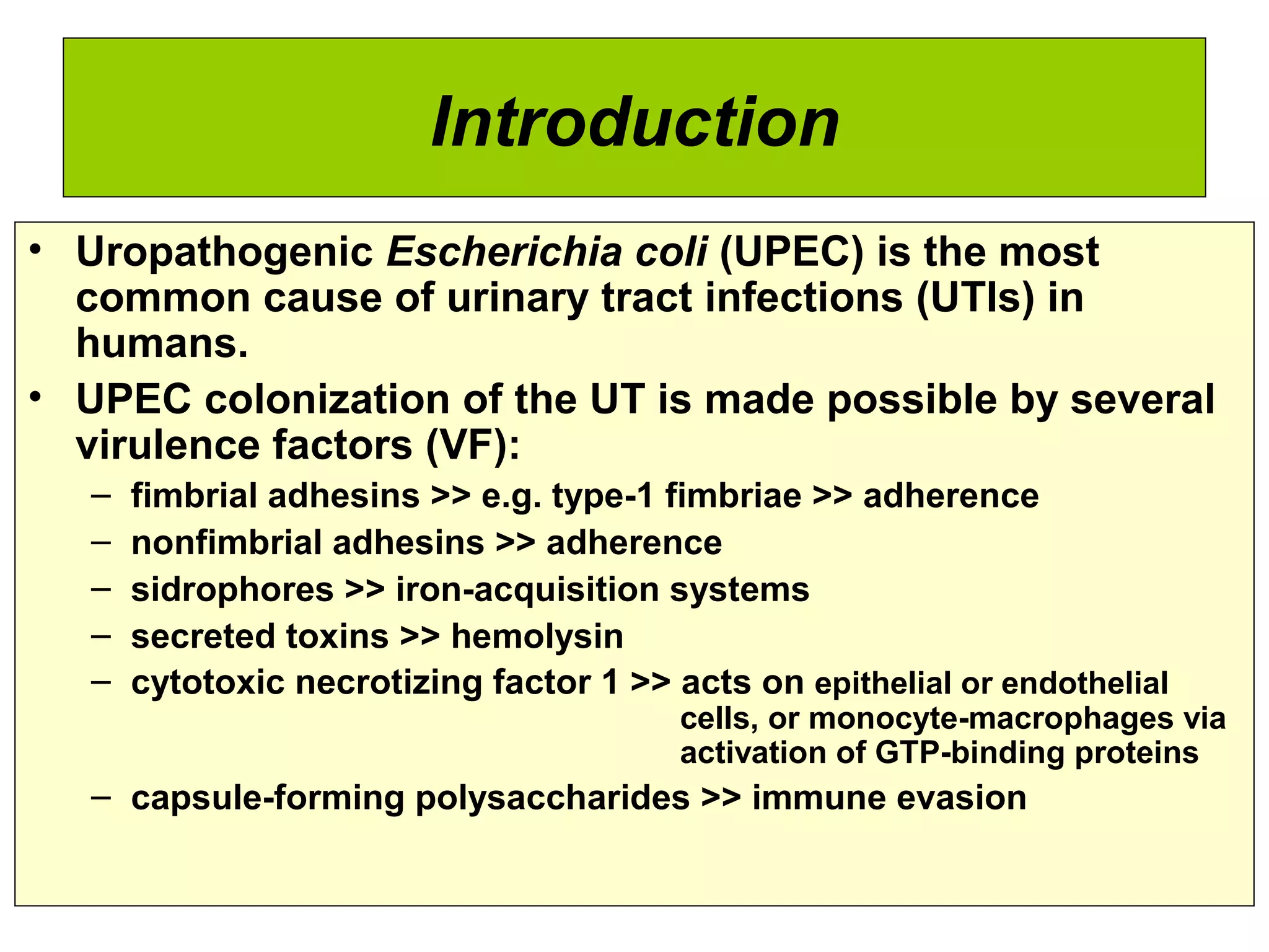 PCR detection of virulence factors in Escherichia coli-Tripoli-Libya | PPT