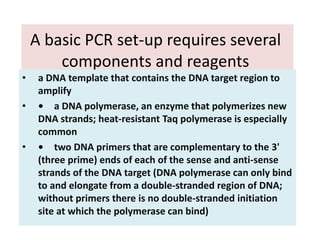 polymerase chain reaction | PPTX