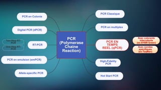 PCR(Polymerase Chain Reaction) en temps réel.pptx