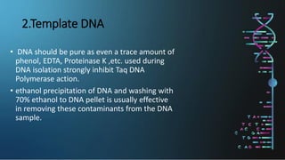 PCR episode1.pdf