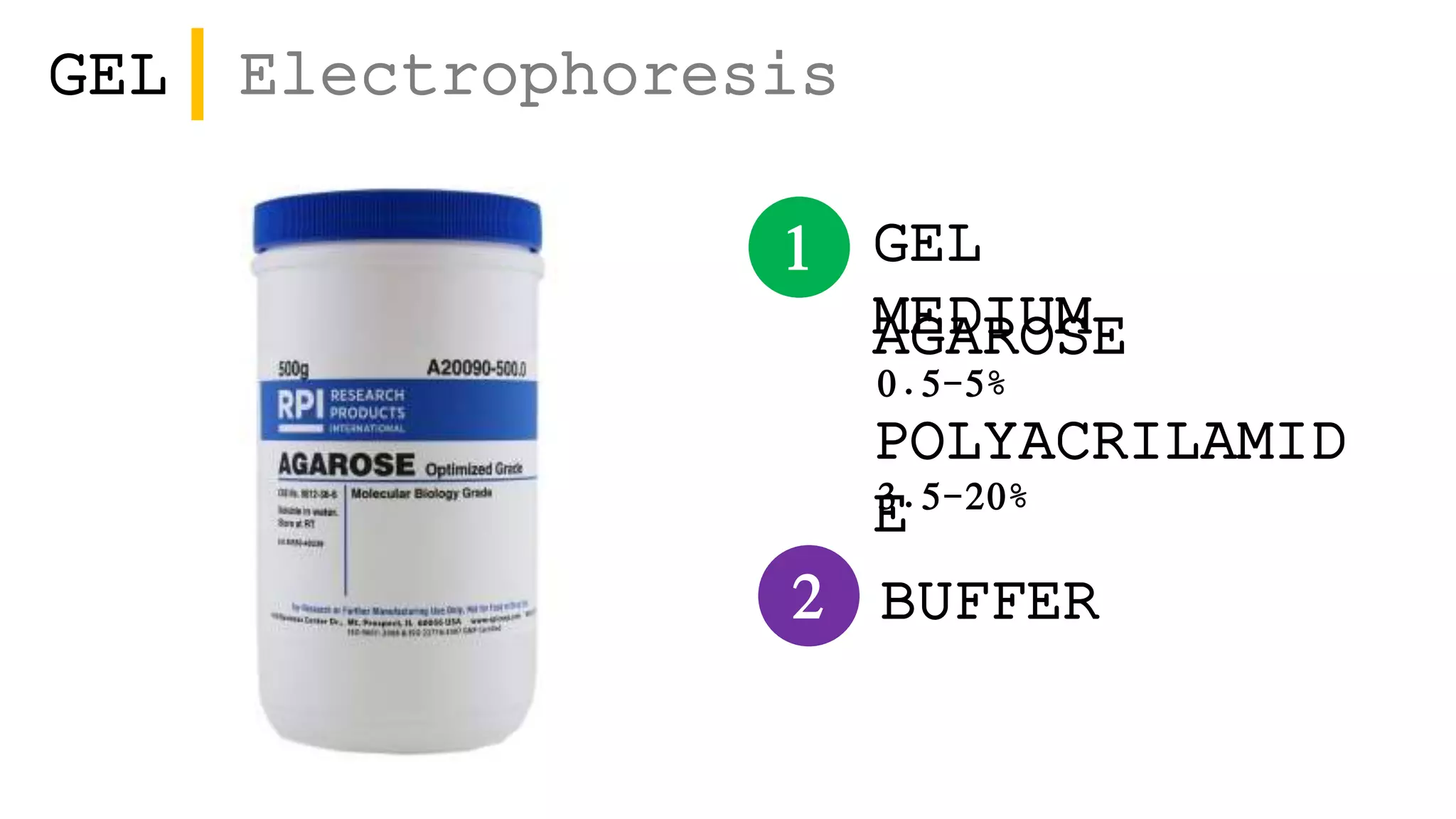 PCR & Gel Electrophoresis - Chaidir Adam 2018 | PPTX