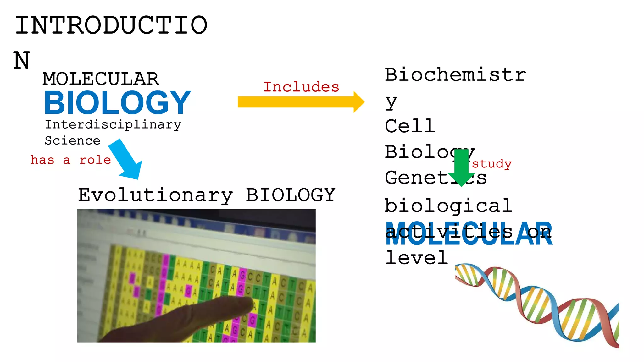 PCR & Gel Electrophoresis - Chaidir Adam 2018 | PPTX