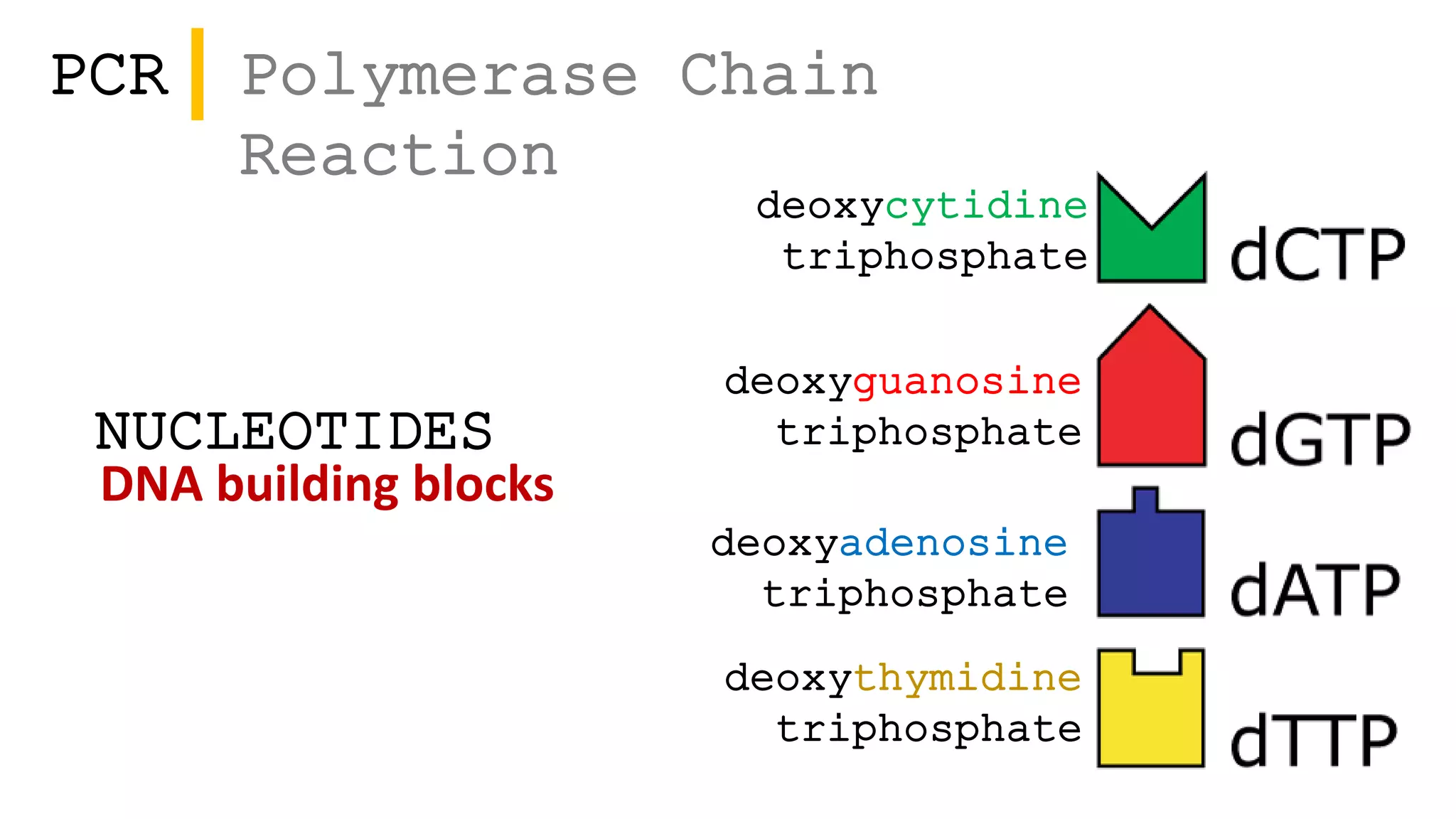 PCR & Gel Electrophoresis - Chaidir Adam 2018 | PPTX