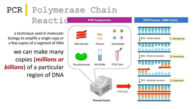 PCR & Gel Electrophoresis - Chaidir Adam 2018 | PPTX