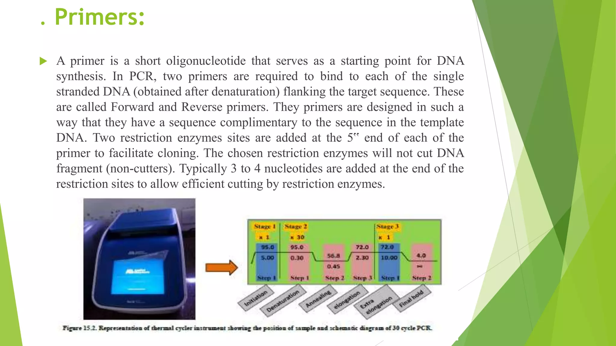 PCR its principle and application related to botany.pptx