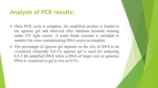 PCR its principle and application related to botany.pptx