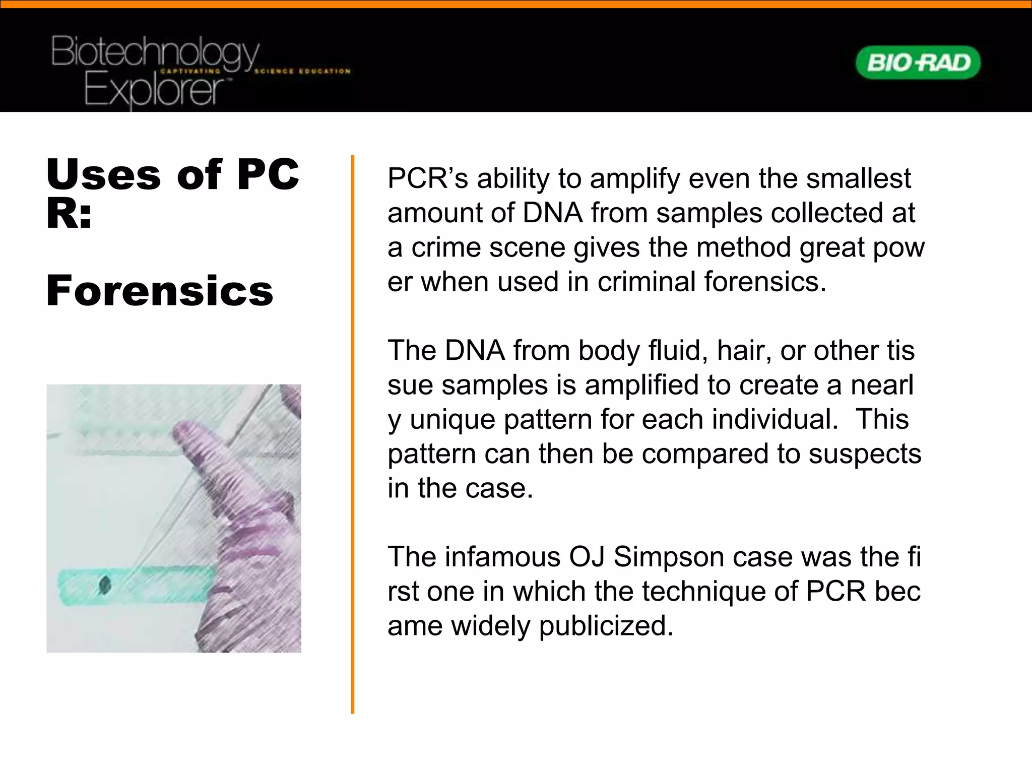 _PCR kary mullis.pptx