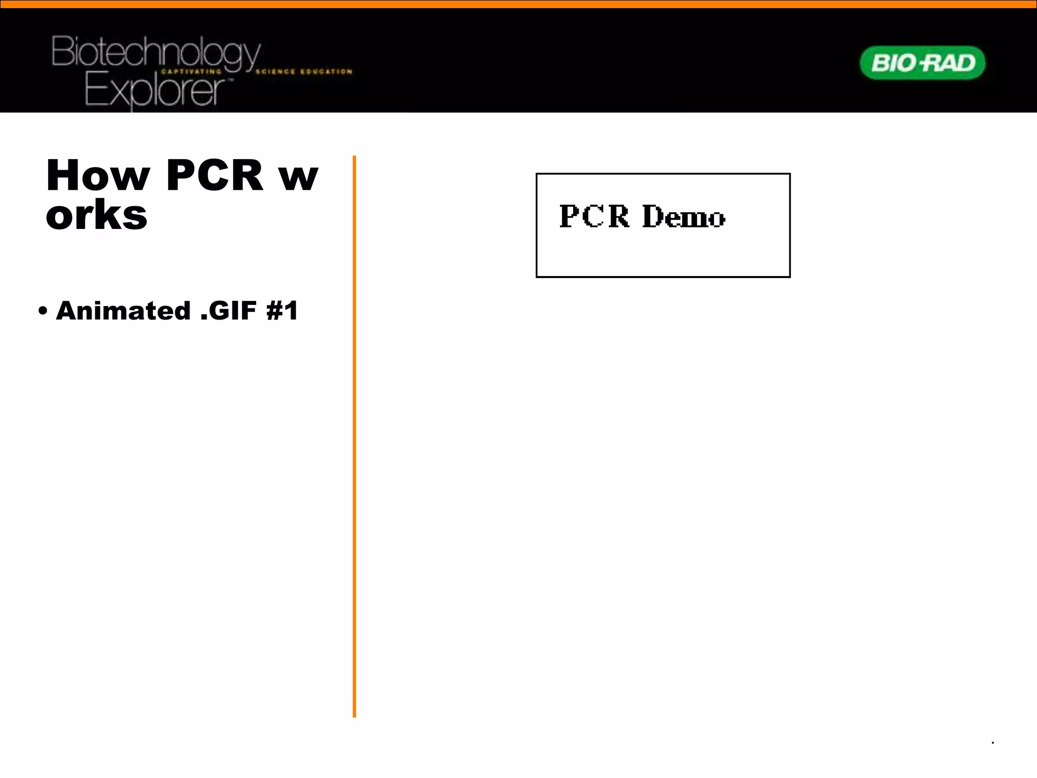 _PCR kary mullis.pptx