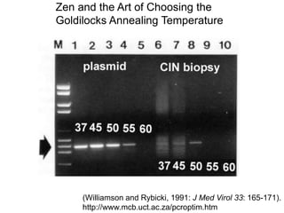 Polymerase Chain Reaction (PCR) Lecture | PPT | Chemistry | Science