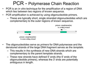 Polymerase Chain Reaction (PCR) Lecture3.ppt