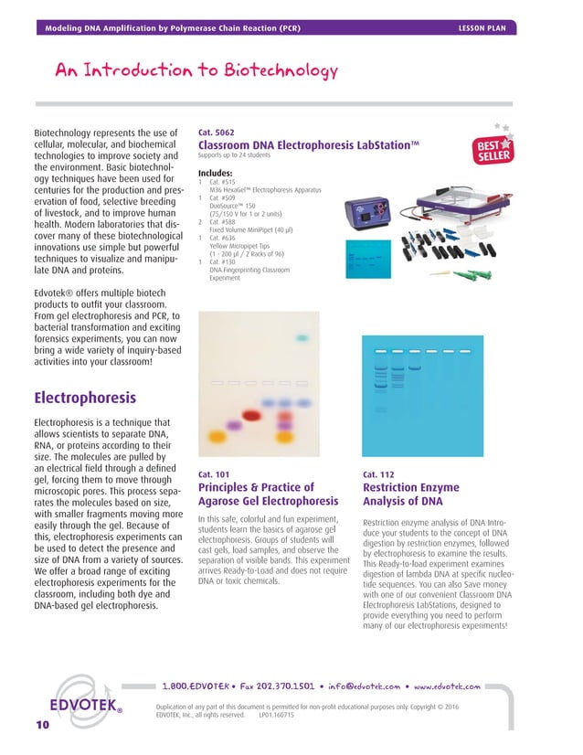 Modeling DNA Amplification by Polymerase Chain Reaction (PCR) | PDF