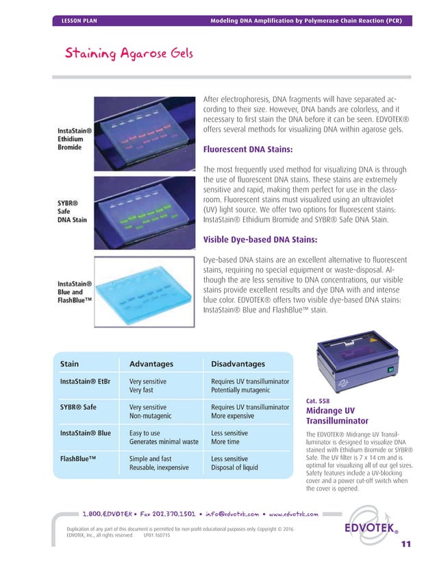 Modeling DNA Amplification by Polymerase Chain Reaction (PCR) | PDF