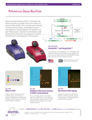 Modeling DNA Amplification by Polymerase Chain Reaction (PCR) | PDF