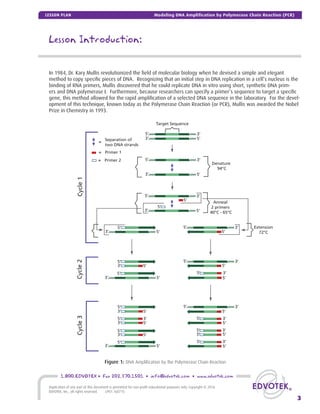 Modeling DNA Amplification by Polymerase Chain Reaction (PCR) | PDF