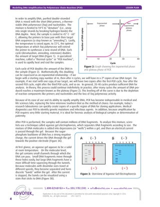 Modeling DNA Amplification by Polymerase Chain Reaction (PCR) | PDF
