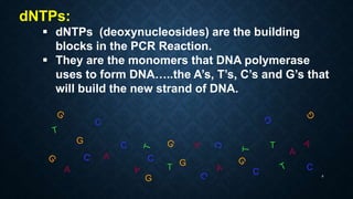 PCR Introduction | PPTX