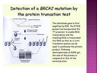 Pcr molecular diagnosis | PPTX