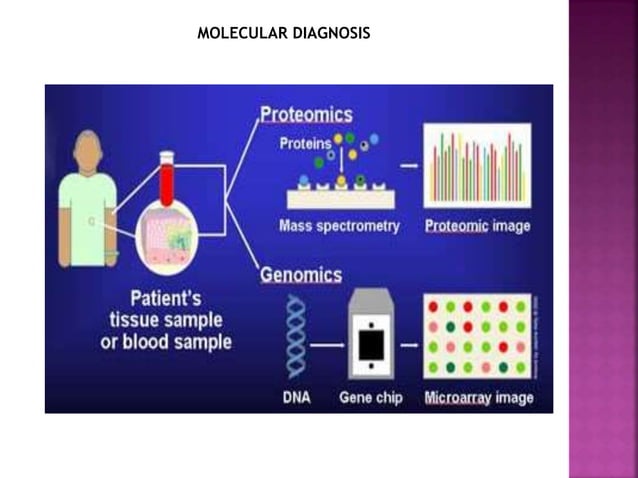 Pcr molecular diagnosis | PPTX