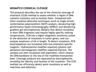 Pcr molecular diagnosis | PPTX