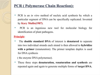PCR & NON PCR BASED methods for detection.pptx
