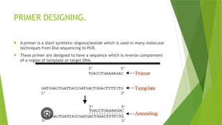 Comprehensivxfnfxjnfxjnfjnje Guide to PCR Techniques, Variants, and ...