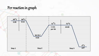 Pcr Presentation | PPT