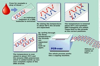Pcr pcr applications | PPT