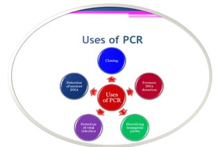 Pcr pcr applications | PPT