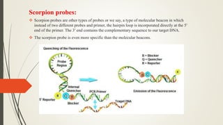PCR ,PCR INSTRUMENTATION,STUDYS FOR GENE REGULATION.pptx
