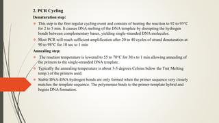 PCR ,PCR INSTRUMENTATION,STUDYS FOR GENE REGULATION.pptx