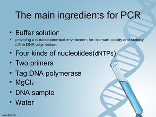 Pcr | PPT