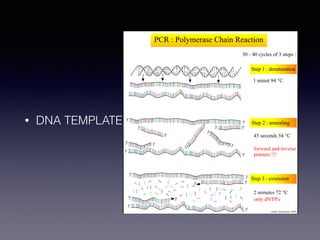 Pcr pdf | PDF