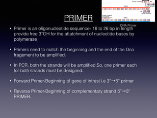 Pcr pdf | PDF