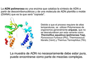 Pcr(Polimerase Chain Reaction) | PPT
