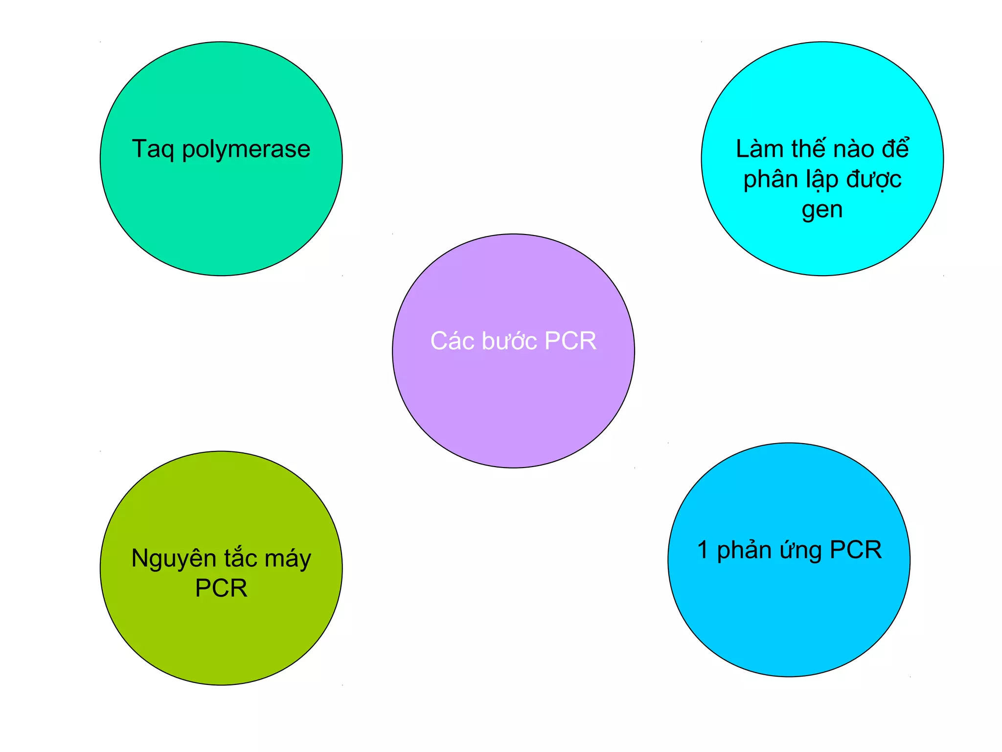 Pcr polymerase chain_reaction | PPT