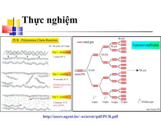 Pcr polymerase chain_reaction | PPT