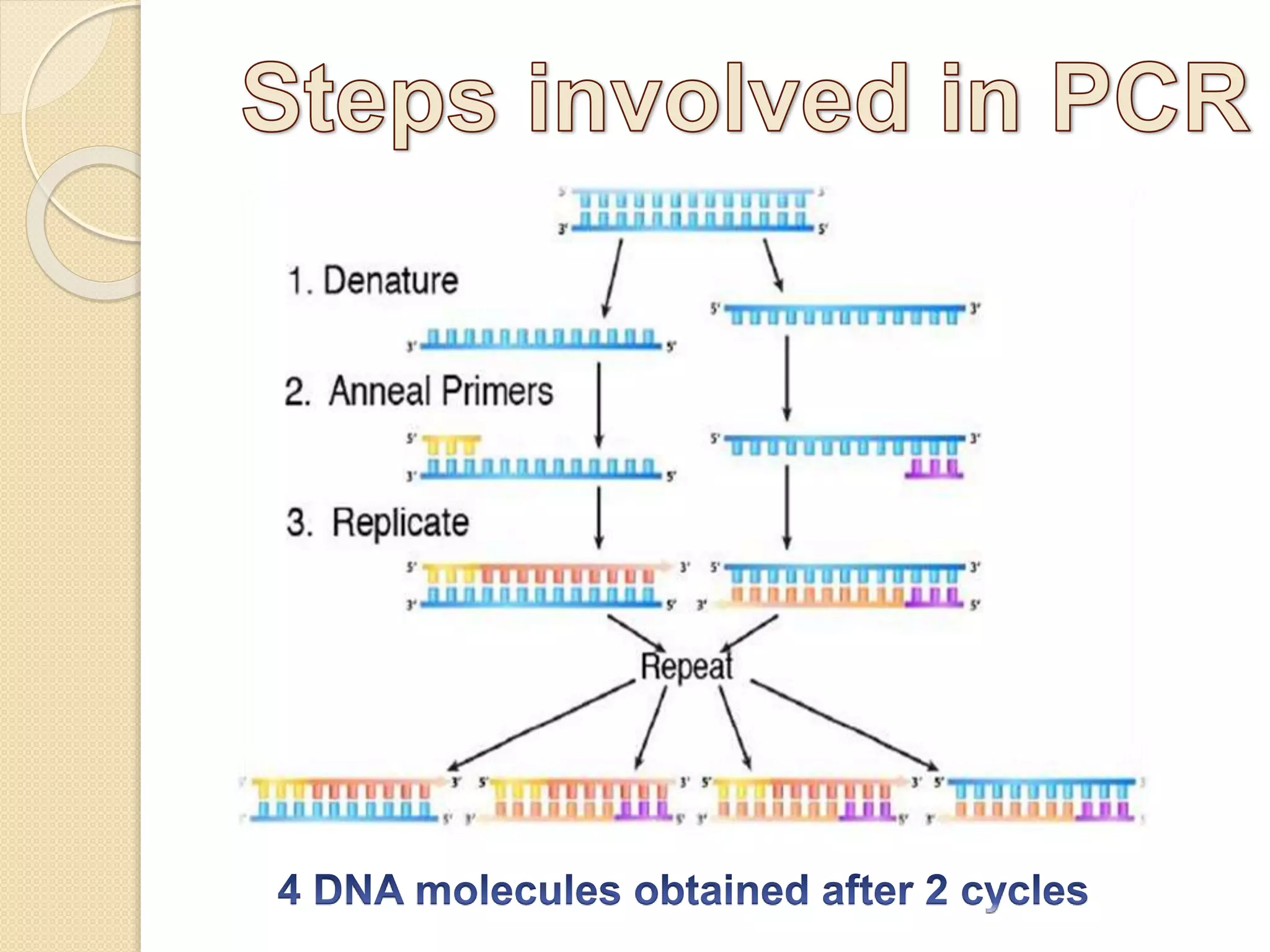 Pcr (polymerase chain reaction) | PPTX
