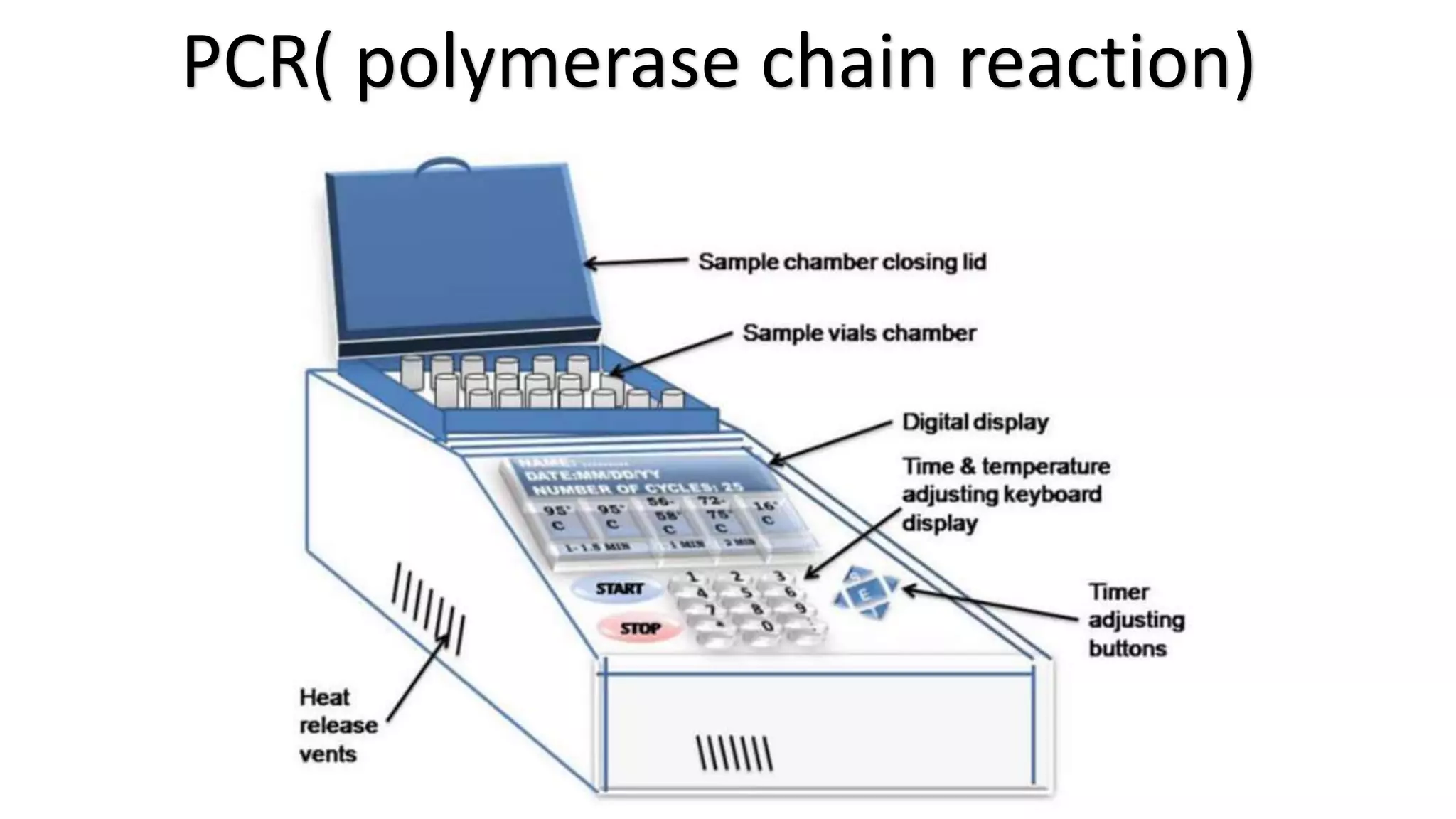 PCR (polymerase chain reaction) and Extraction of DNA from fungal plant ...