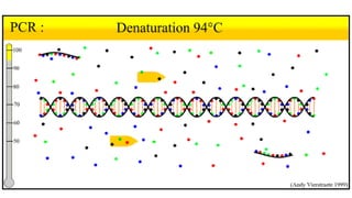 PCR (polymerase chain reaction) and Extraction of DNA from fungal plant ...