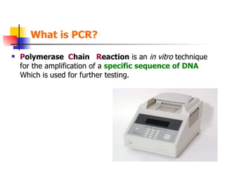 Pcr | PPT