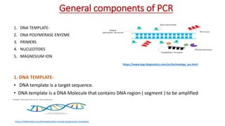 Polymerase chain reaction | PPT