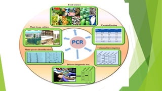 pcr ppt.pptx | Chemistry | Science