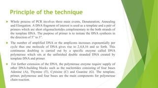 pcr ppt.pptx